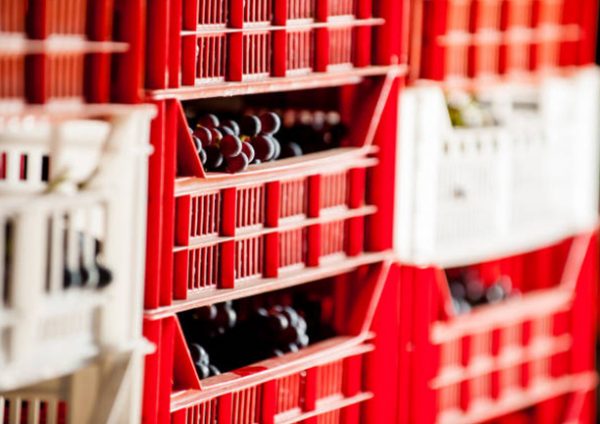 Plastic Storage Solutions for Business Use | Rebox UK